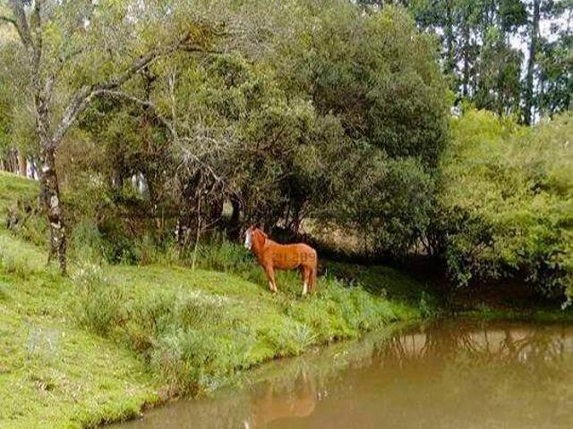 Chácara para venda em Centro, Encruzilhada do Sul