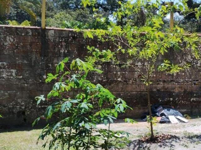 Chácara para venda em Centro, Itanhaém