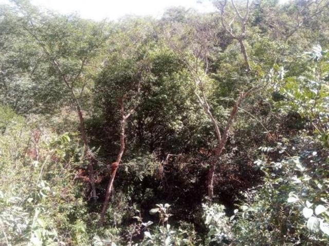 Sítio para venda em Centro, Jaboticatubas