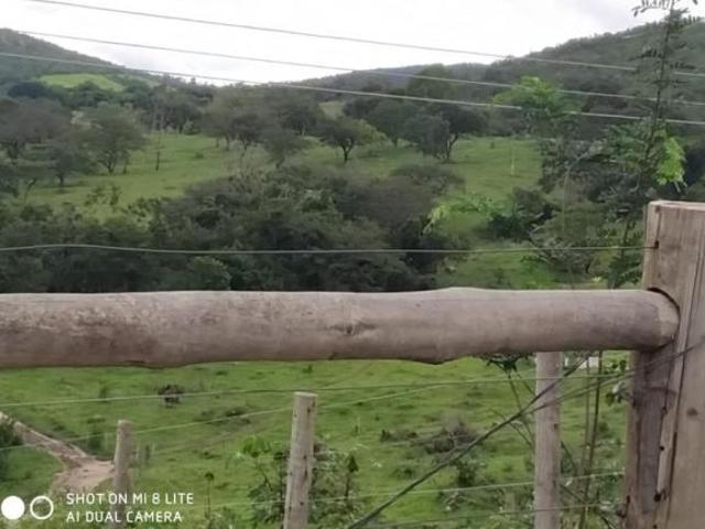 Fazenda para venda em Centro, Pará de Minas