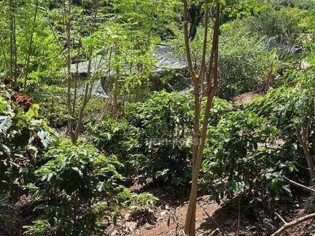 Chácara para venda em Centro, Primeiro de Maio