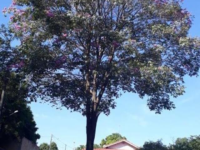 Chácara para venda em Centro, Promissão
