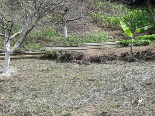 Chácara para venda em Centro, Redenção da Serra