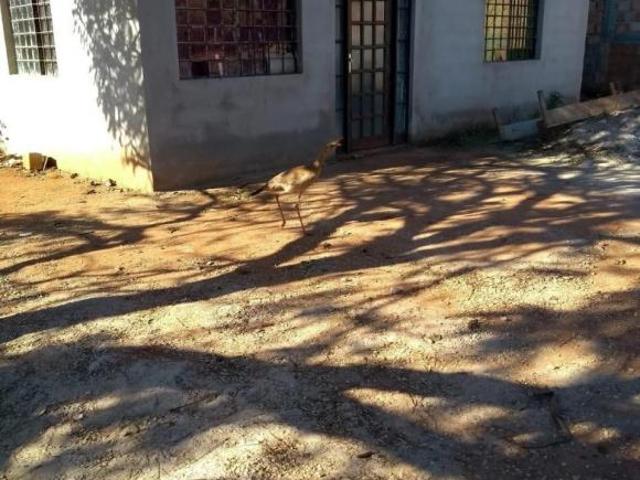 Chácara para venda em Centro, Rio Manso