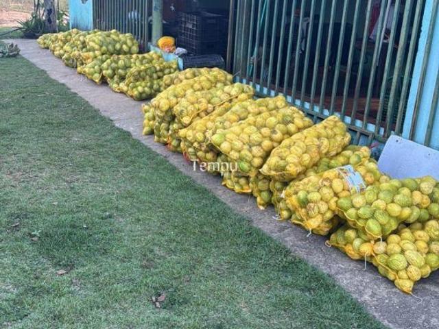 Chácara para venda em Centro, São Miguel do Passa Quatro