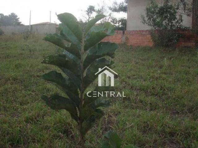 Fazenda para venda em Centro, Salto de Pirapora