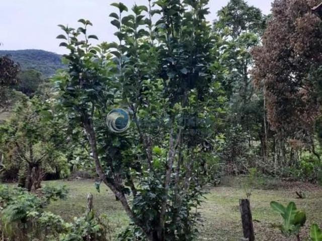 Chácara para venda em Centro, Soledade de Minas