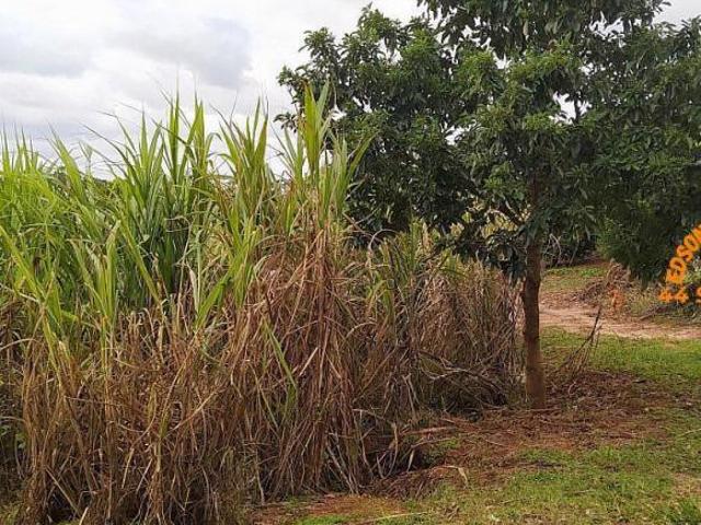 Chácara para venda em Centro, Terra Roxa