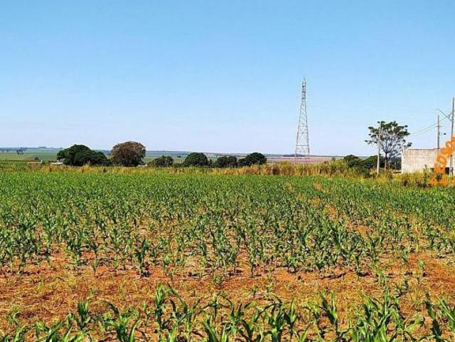 Chácara para venda em Centro, Terra Roxa
