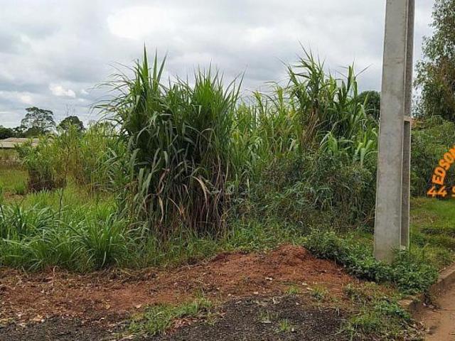 Chácara para venda em Centro, Terra Roxa