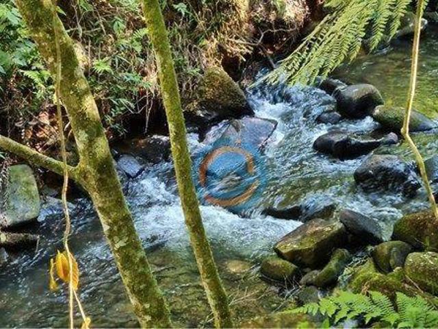 Chácara para venda em Centro, Tijucas do Sul