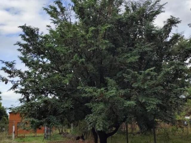 Chácara para venda em Centro, Uberlândia