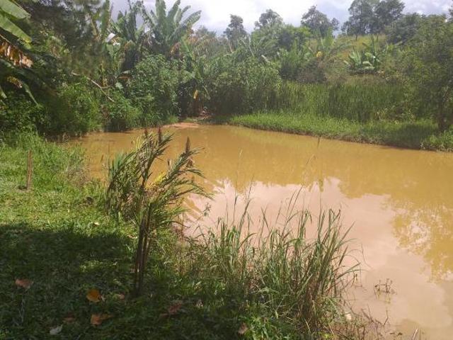 Chácara para venda em Chácara São Francisco, Jundiaí