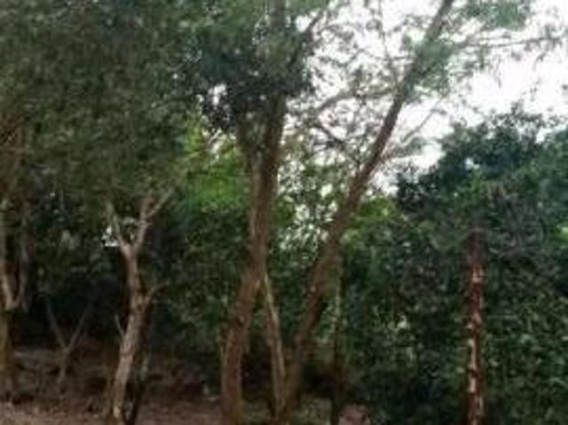 Chácara para venda em Chácaras Alpina, Valinhos