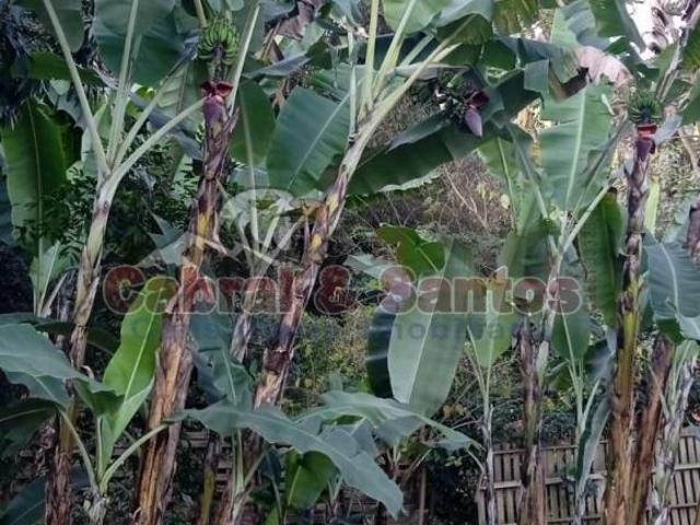 Chácara para venda em Chácaras Monte Verde, Itu