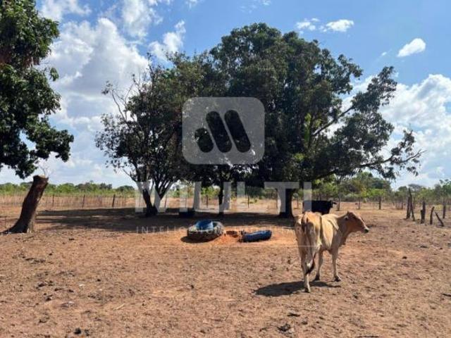 Chácara para venda em Cidade Jardim, Uberlândia
