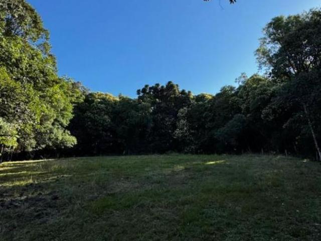 Chácara para venda em Ana Rech, Caxias do Sul
