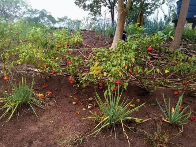 Chácara para venda em Água Verde de 72600.00m² com 1 Quarto e 1 Suite