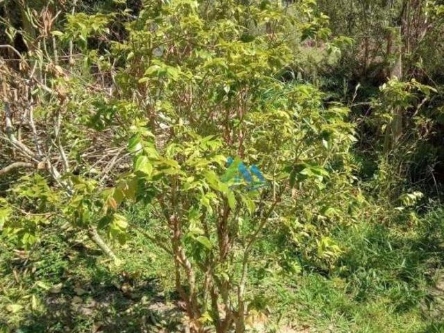 Chácara para venda em Agudos do Sul
