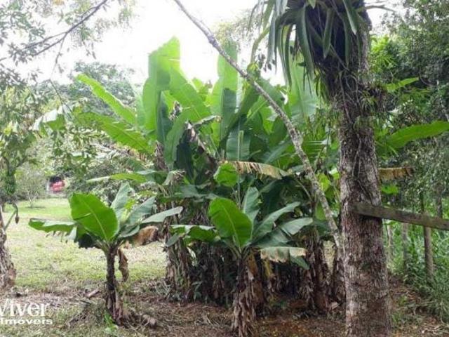 Chácara para venda em Alexandra, Paranaguá