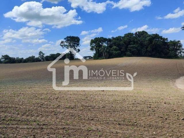 Chácara para Venda em Araucária, Ipiranga