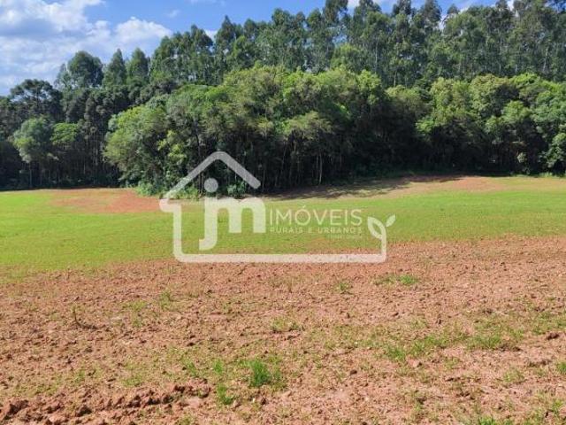 Chácara para Venda em Araucária, Rio Verde Acima