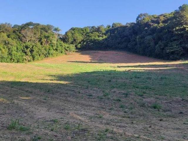 Chácara para Venda em Araucária, Rio Verde Acima