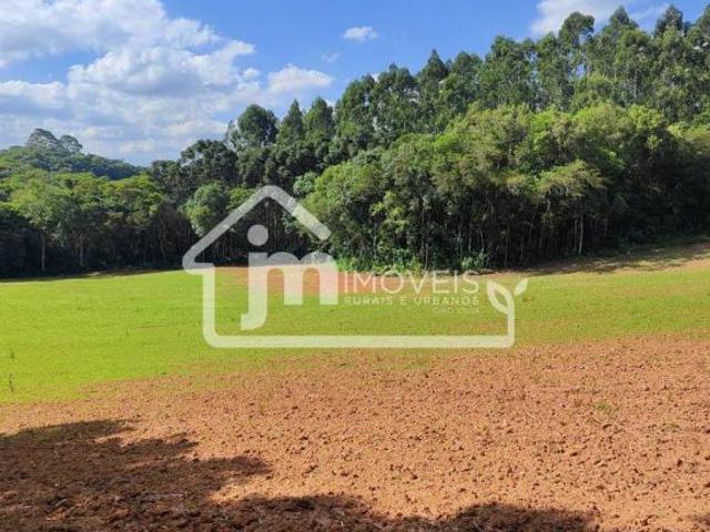 Chácara para Venda em Araucária, Rio Verde Acima