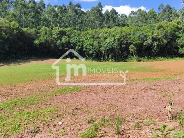 Chácara para Venda em Araucária, Rio Verde Acima