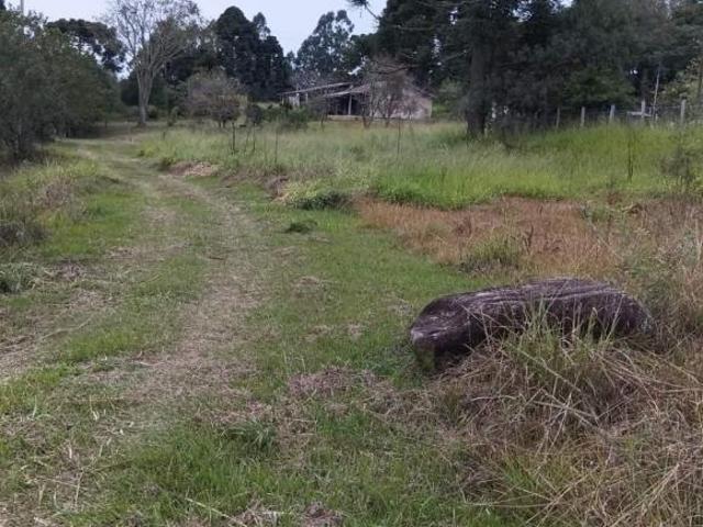 Chácara para venda em Área Rural Areia Branca dos Assis, M