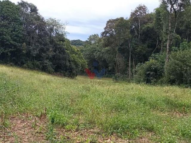 Chácara para venda em Área Rural De Araucária de 24300.00m² com 1 Quarto