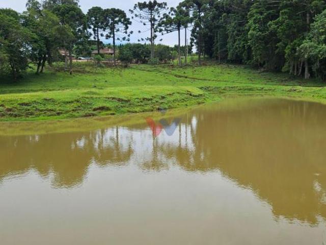 Chácara para venda em Área Rural De Araucária de 250.00m² com 6 Quartos e 3 Garagens