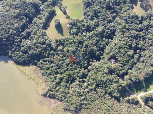 Chácara para venda em Área Rural De Araucária de 50.00m² com 2 Quartos e 6 Garagens