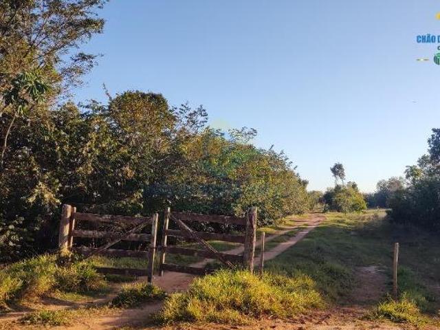 Chácara para venda em Área Rural de Campo Grande, Campo Gran