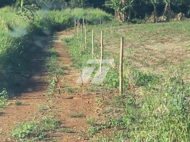 Chácara para venda em Área Rural de Cascavel, Cascavel