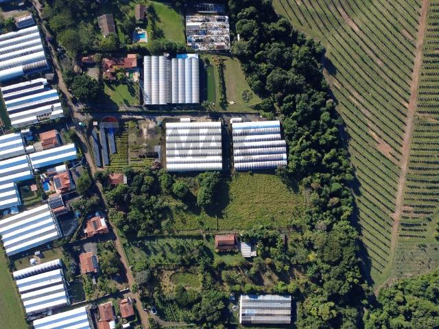 Chácara para venda em Área Rural De Holambra em Holambra São Paulo de 5978.44m² com 1 Quarto e 4 Garagens
