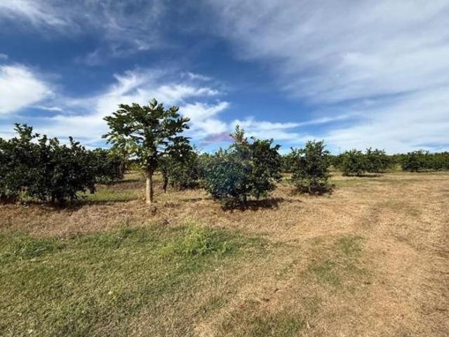 Chácara para venda em Área Rural De Itapira de 120.00m² com 4 Quartos e 10 Garagens