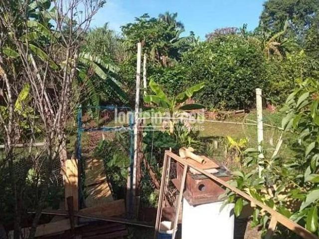 Chácara para venda em Área Rural de Londrina, Londrina