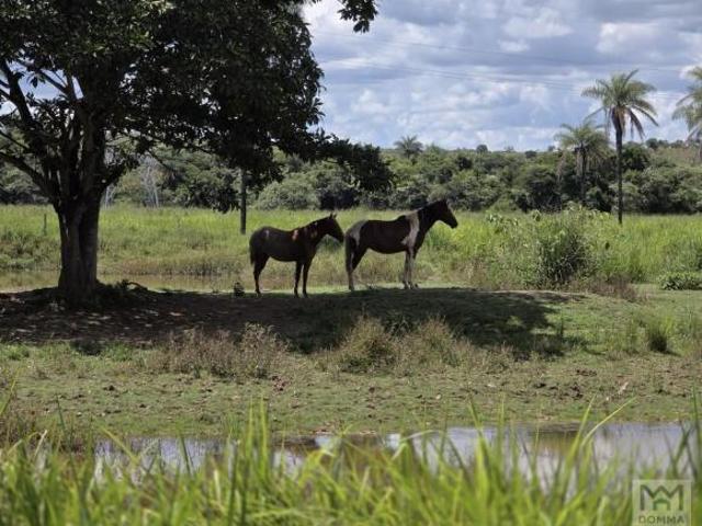 Chácara para venda em Área Rural de Planaltina, Brasília