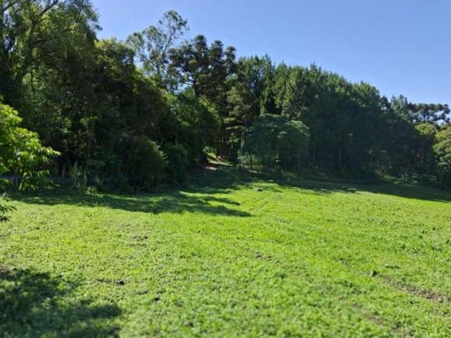 Chácara para venda em Área Rural de São José dos Pinhais, Sã