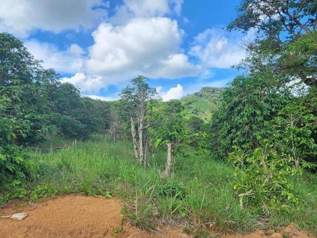 Chácara para venda em Área Rural de Santa Rita do Sapucaí, S