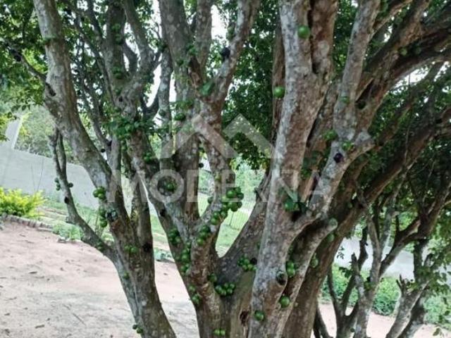 Chácara para Venda em Bofete, Área Rural de Bofete, 2 dormitórios, 1 banheiro, 2 vagas