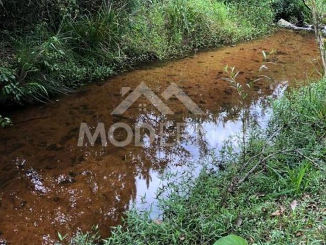 Chácara para Venda em Bofete, Área Rural de Bofete, 3 dormitórios, 3 suítes