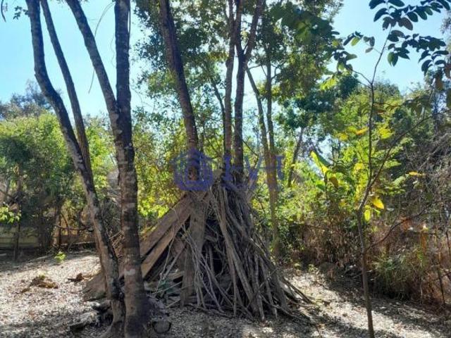 Chácara para venda em Bonanza, Santa Luzia