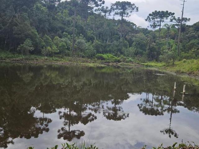 Chácara para venda em Borda Do Campo de 600.00m² com 4 Quartos e 1 Suite