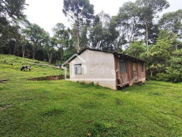 Chácara para Venda em Balsa Nova, Campina do Bicudo, 3 dormitórios, 1 banheiro
