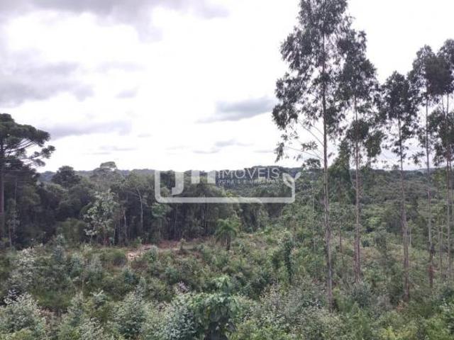 Chácara para Venda em Balsa Nova, Rodeio Santo Antônio