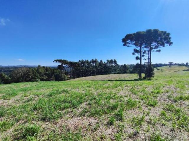 Chácara para Venda em Balsa Nova, Rodeio Santo Antônio
