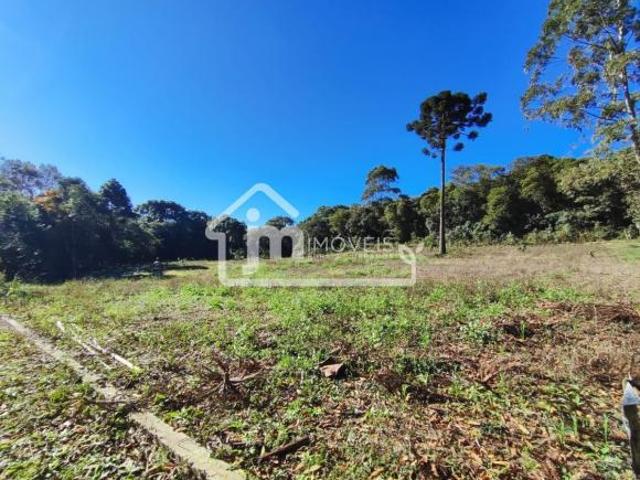 Chácara para Venda em Balsa Nova, São Caetano