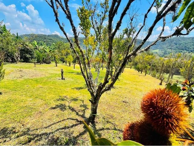 Chácara para venda em Biritiba Mirim em Biritiba mirim São Paulo de 2273.00m² com 1 Quarto